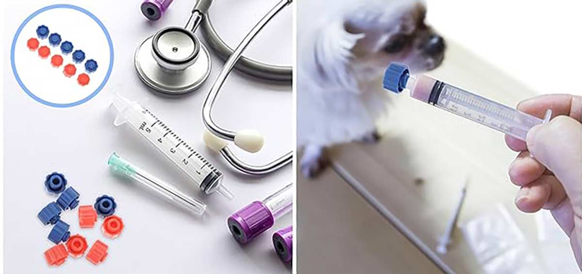 How Many Types Of Caps Lock For Medical Injection Molding Use ...